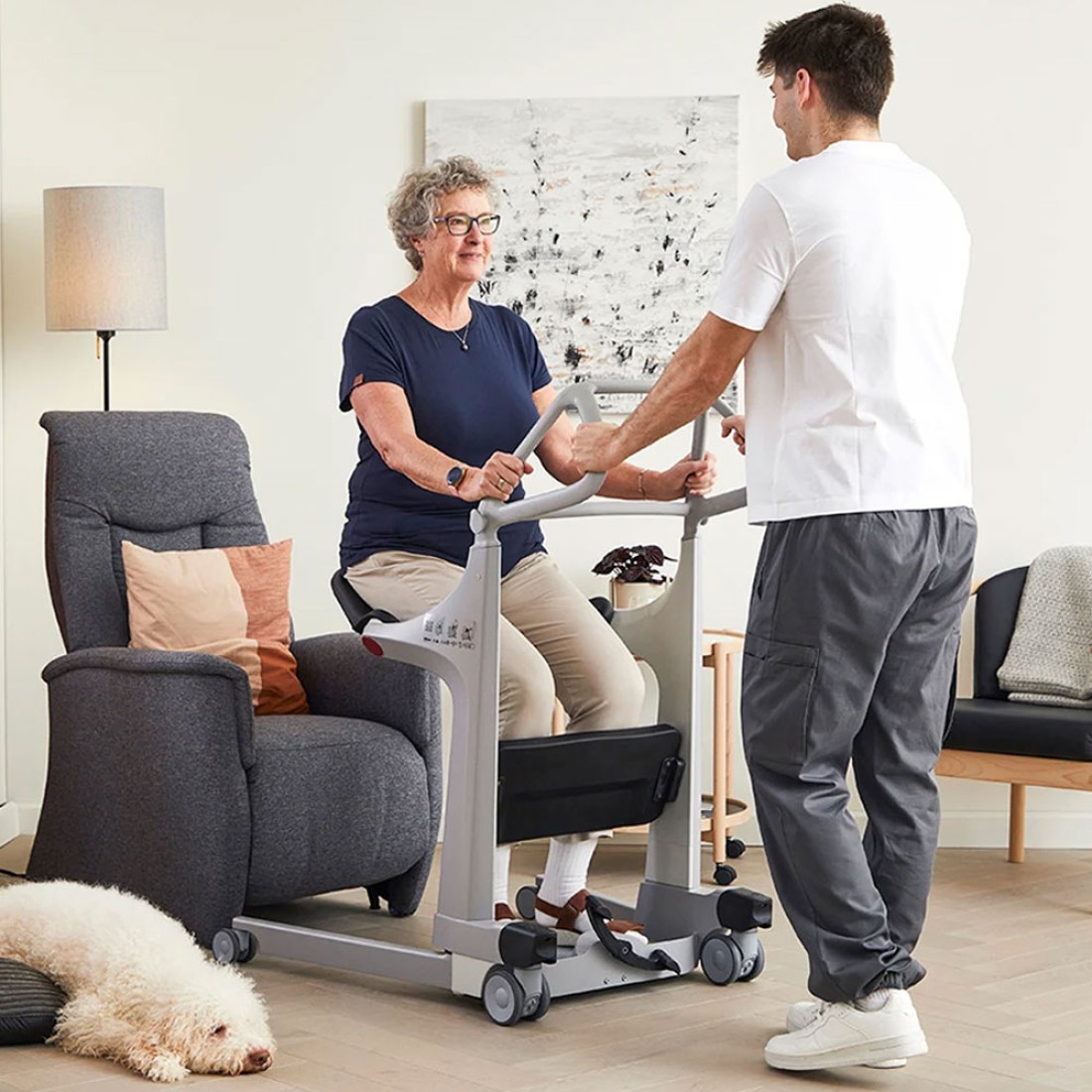 Molift Transfer Pro – Ergonomic Patient Transfer Aid for Safe Handling