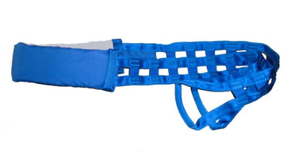 Ladder Belt for RS2 Transfer Aid