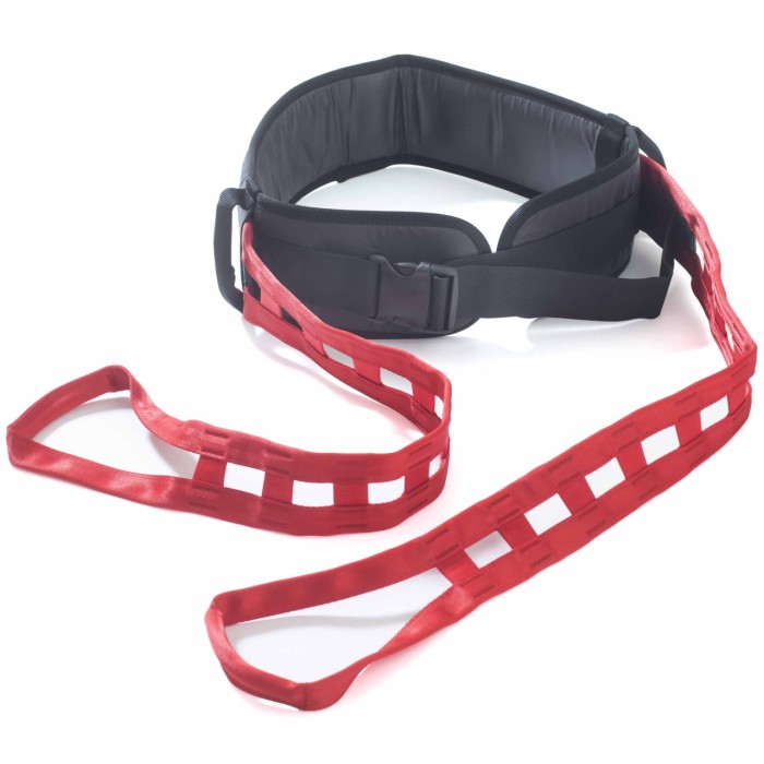 Molift Raiser Pro – Standing & Transfer Aid | Safe Patient Handling ...